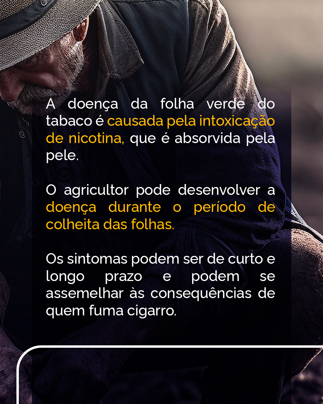 Cards para mídias sociais (carrossel): Doença da folha verde do tabaco ...